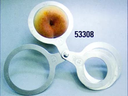 Fruit calipers, vernier, & sizing rings for peaches, bananas, cherrys ...